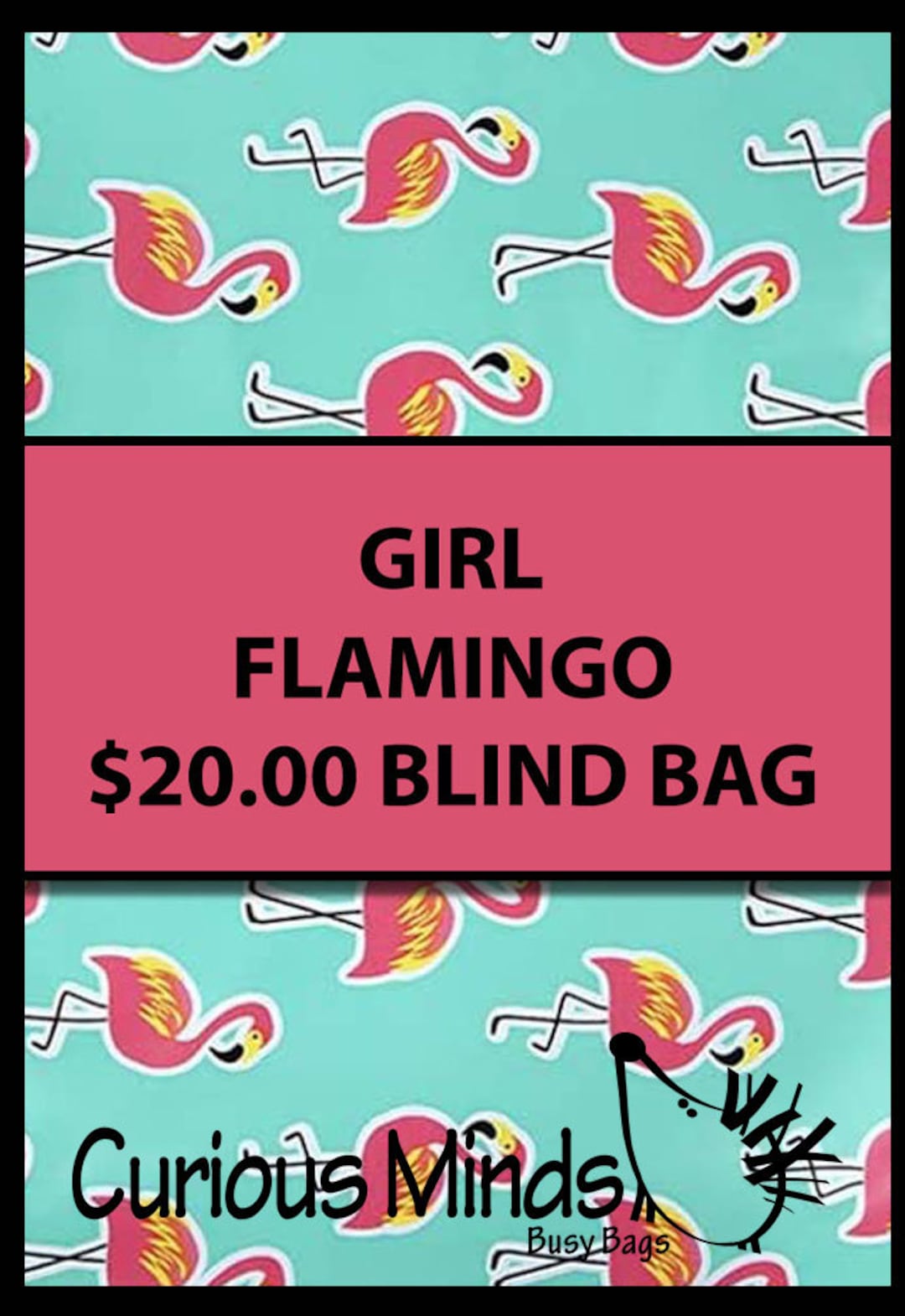 20.00 GIRL THEMED (multiple Styles) - Fidget Blind Bag Mystery Bag ...