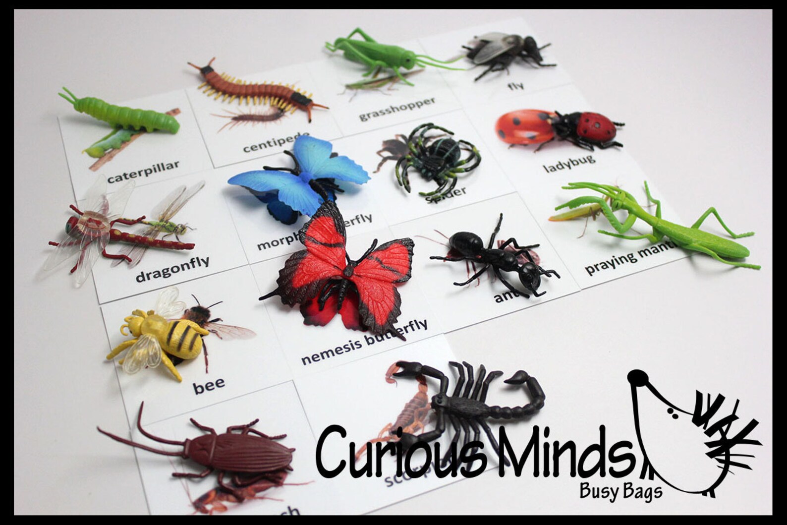 Montessori Insect Animal Match Miniature Animals With - Etsy