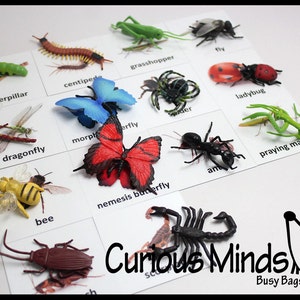 Montessori Insect Animal Match - Miniature Animals With Matching Cards ...