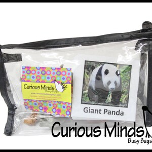 Montessori Endangered Species Animal Match - Miniature Animals With ...