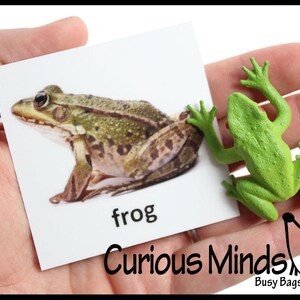 Montessori Pet Animal Match - Miniature Animals With Matching Cards - 2 ...