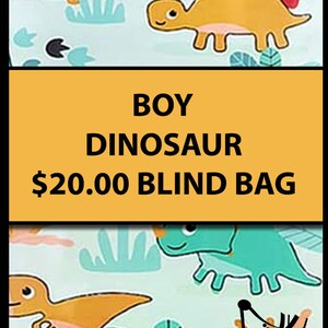 20.00 BOY THEMED (multiple Styles) - Fidget Blind Bag Mystery Bag ...
