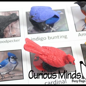 Montessori Bird Animal Match Game - Miniature Animals With Matching ...