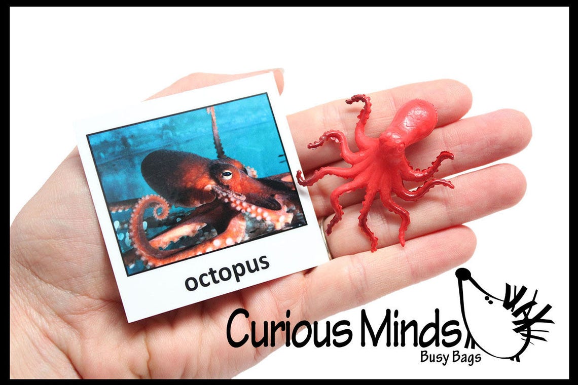 Montessori Ocean Animal Match Miniature Animals With - Etsy Australia