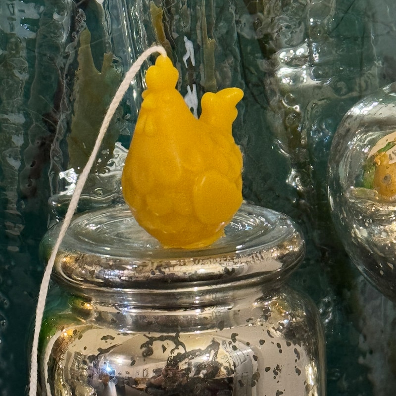 Chicken Scented Candle - Etsy