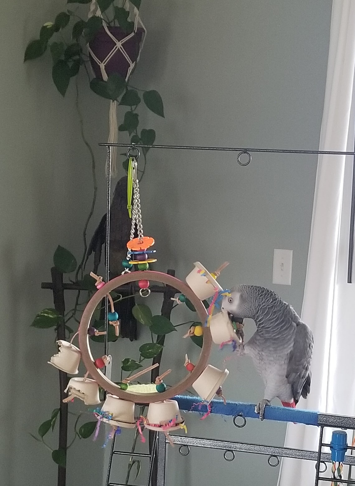 PARROT FORAGING TOY the Foraging Orbit - Etsy