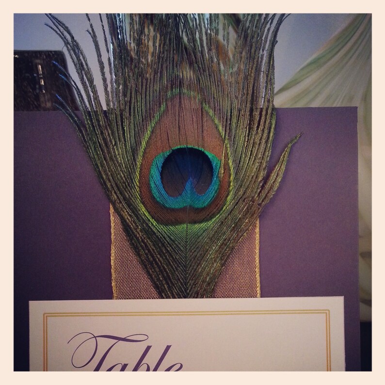 Classy Wedding Table Numbers With Peacock - Etsy