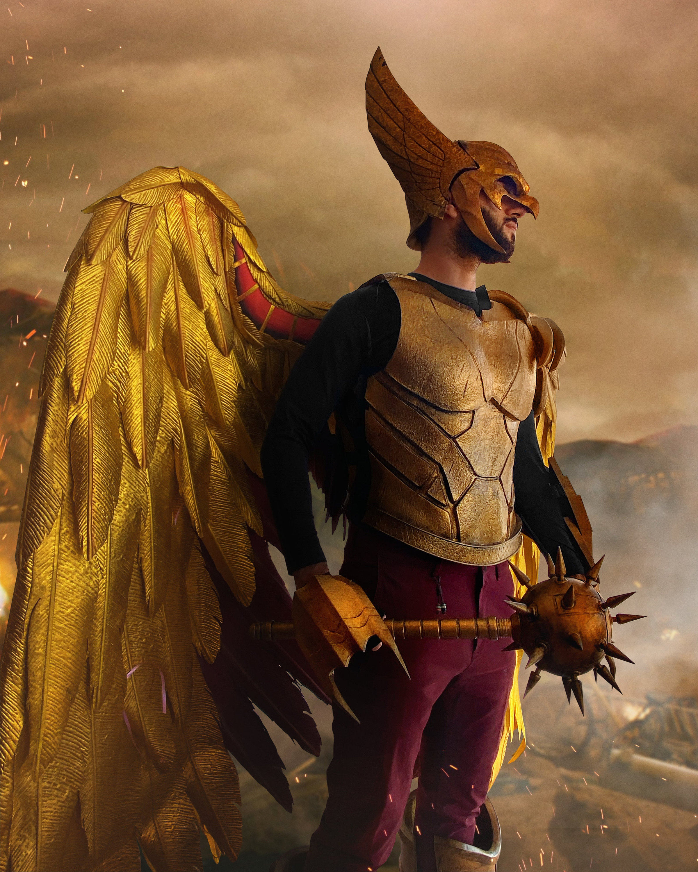 Hawkman Costume