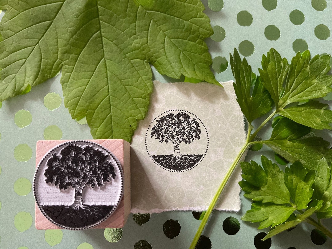 STAMP Event of the Month May Birch - Etsy