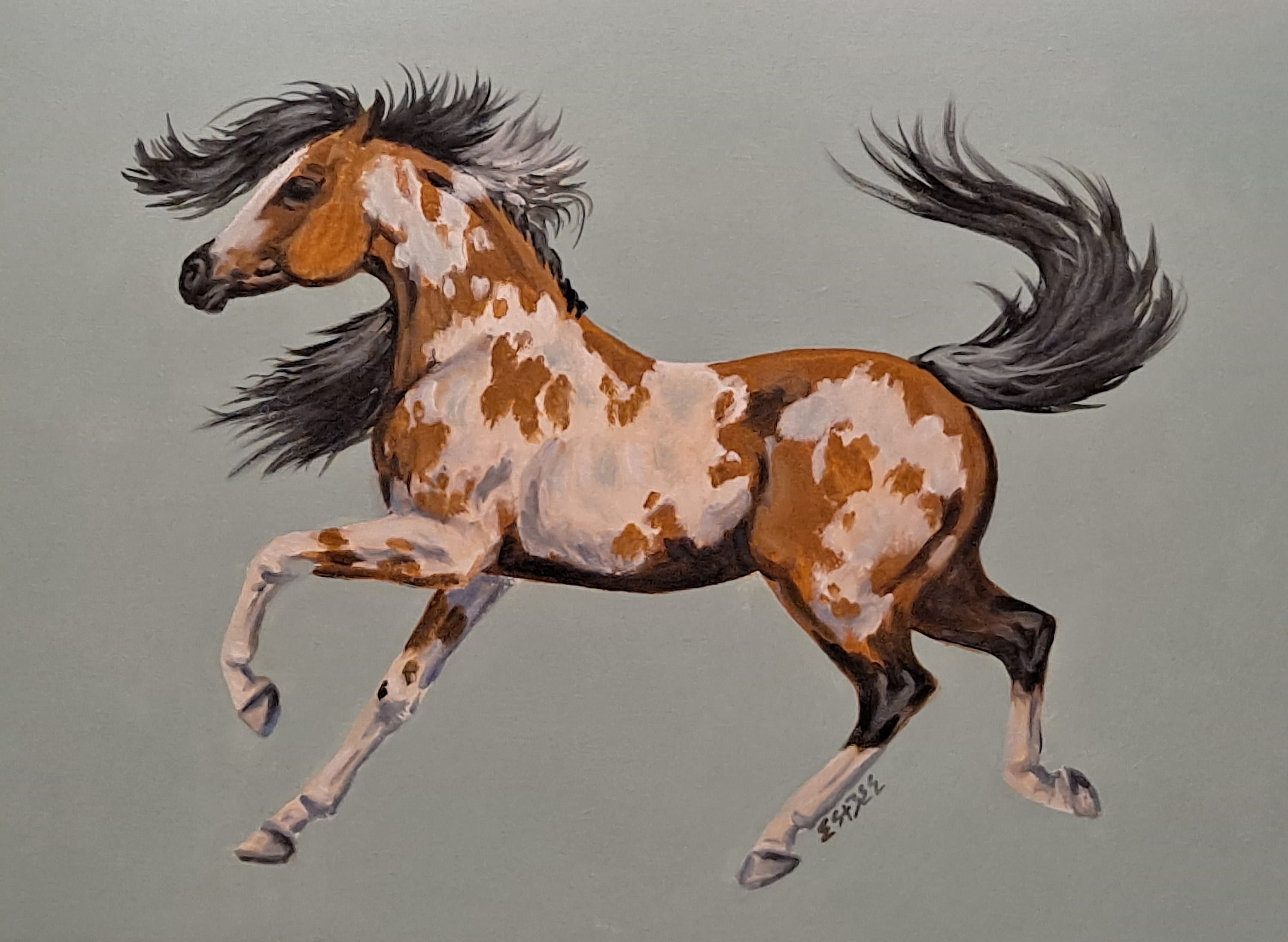 Pinto Horse Drawing