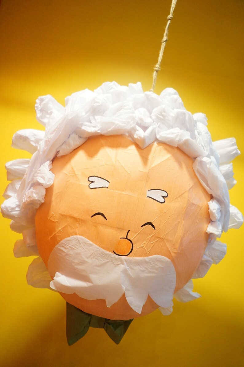 Designer Albert Einstein Pinata Inspired cute birthday gift | Etsy