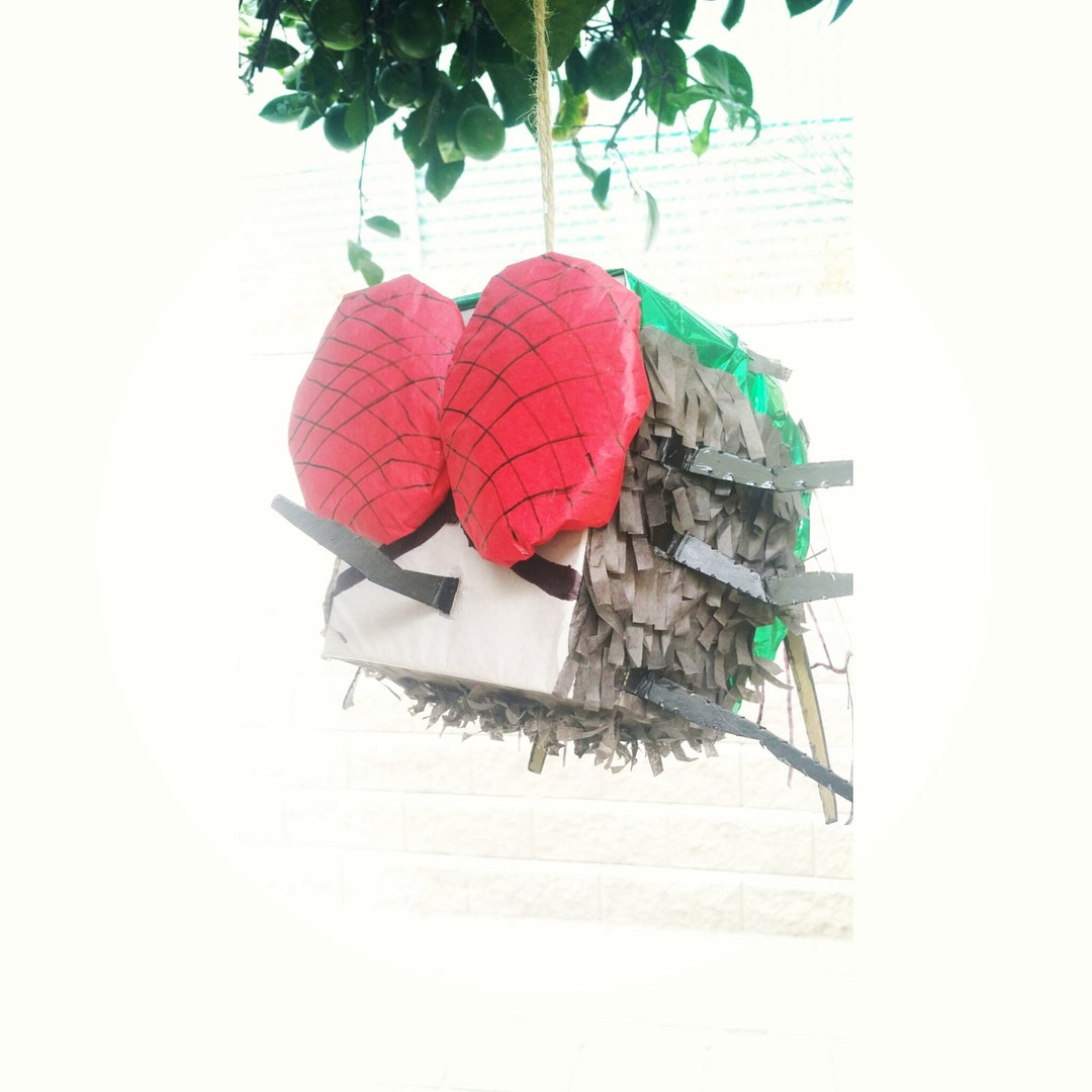 Bug Party Piñata - Etsy