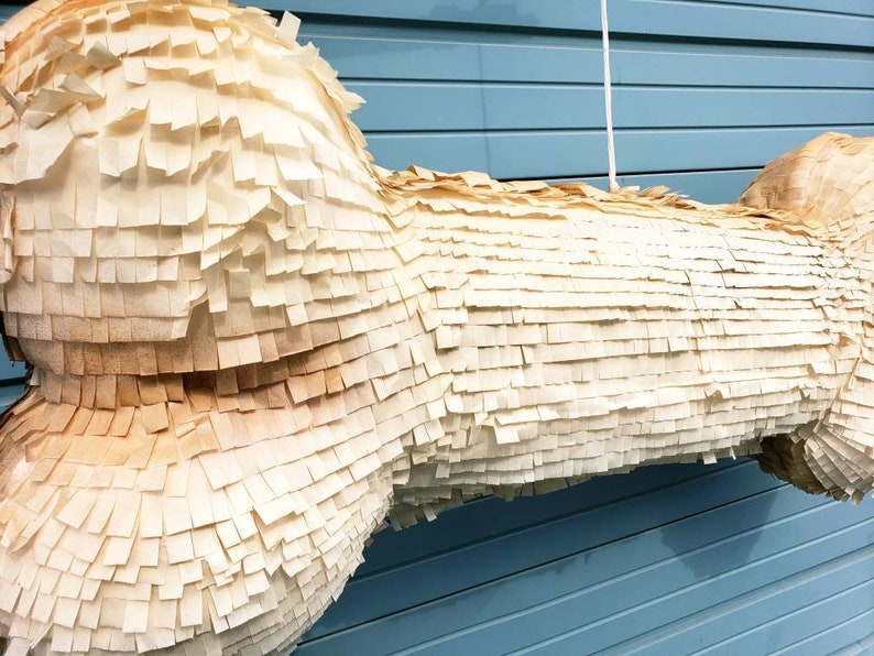 Dog Bone Pinata | Animal Party Decor, Photo Prop - Etsy