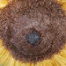Sun Flower Pinata | Summer Flower Party Theme - Etsy