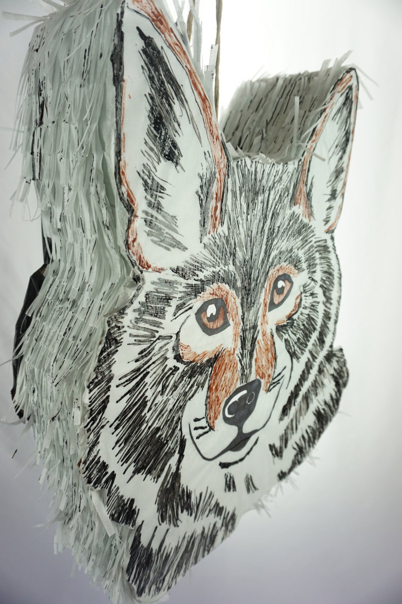 Designer 2D Pinata Coyote Animal Lovers Decor Coyote Decor | Etsy