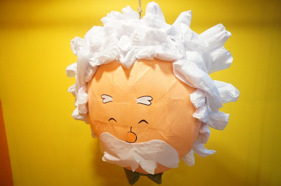 Designer Albert Einstein Pinata Inspired Cute Birthday Gift - Etsy