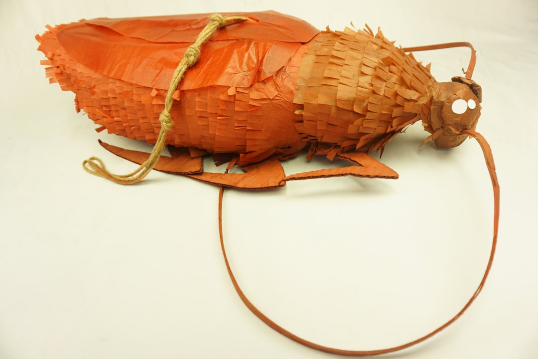 Big Cockroach Bug Pinata - Etsy