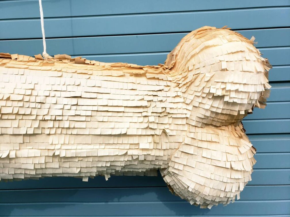 Pinata Dog Bone Animal Pinata Cute Photo Prop Fun Party | Etsy