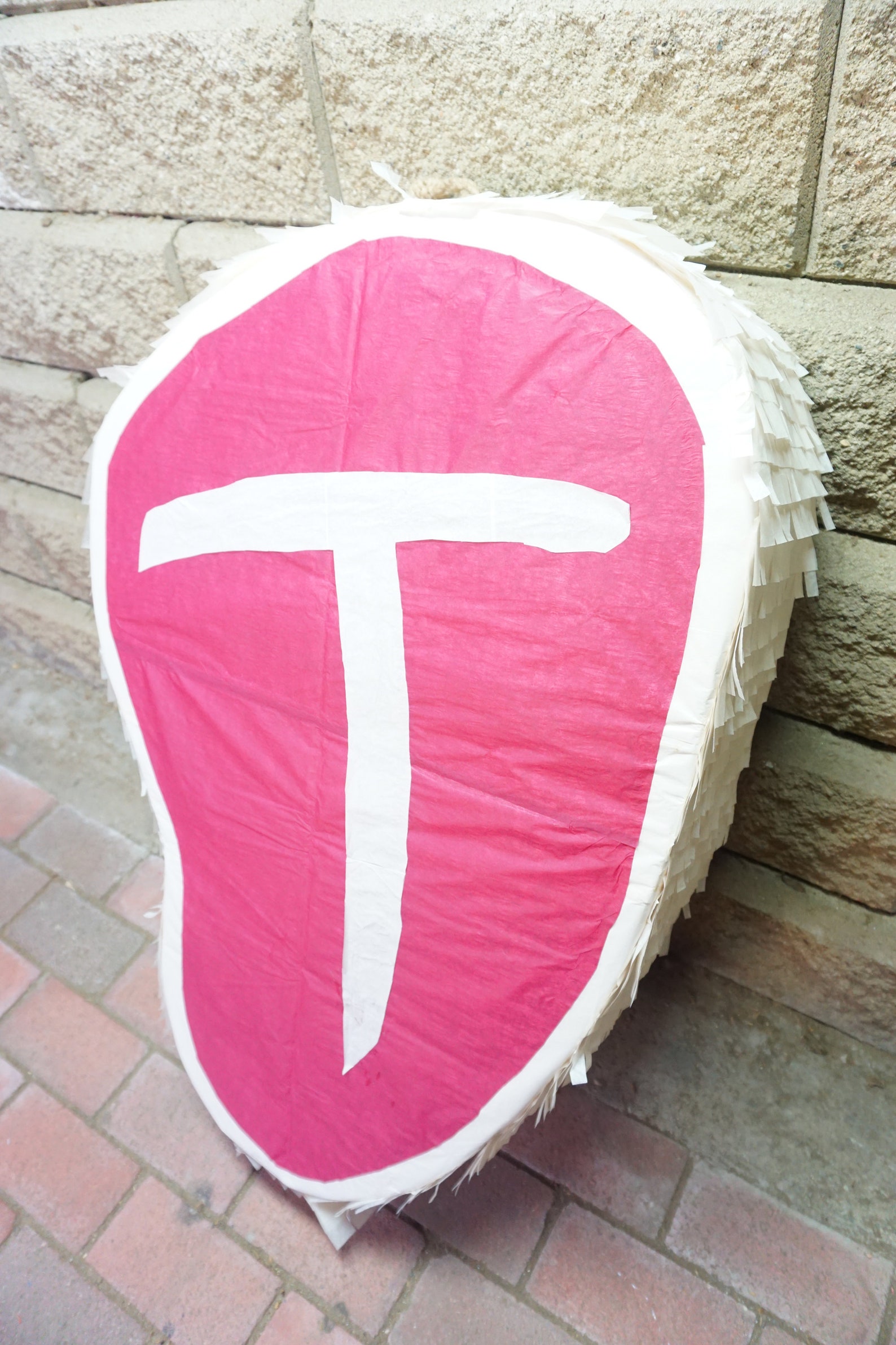 T-Bone Steak Pinata For Meat & Grill Lovers | Etsy