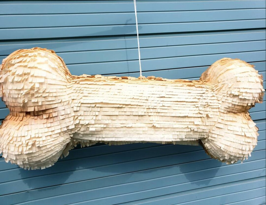 Pinata Dog Bone | Animal Pinata | Cute Photo Prop | Fun Party Game ...