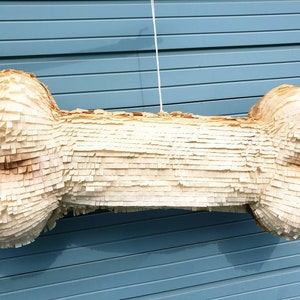 Pinata Dog Bone | Animal Pinata | Cute Photo Prop | Fun Party Game ...