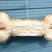 Pinata Dog Bone Animal Pinata Cute Photo Prop Fun Party - Etsy
