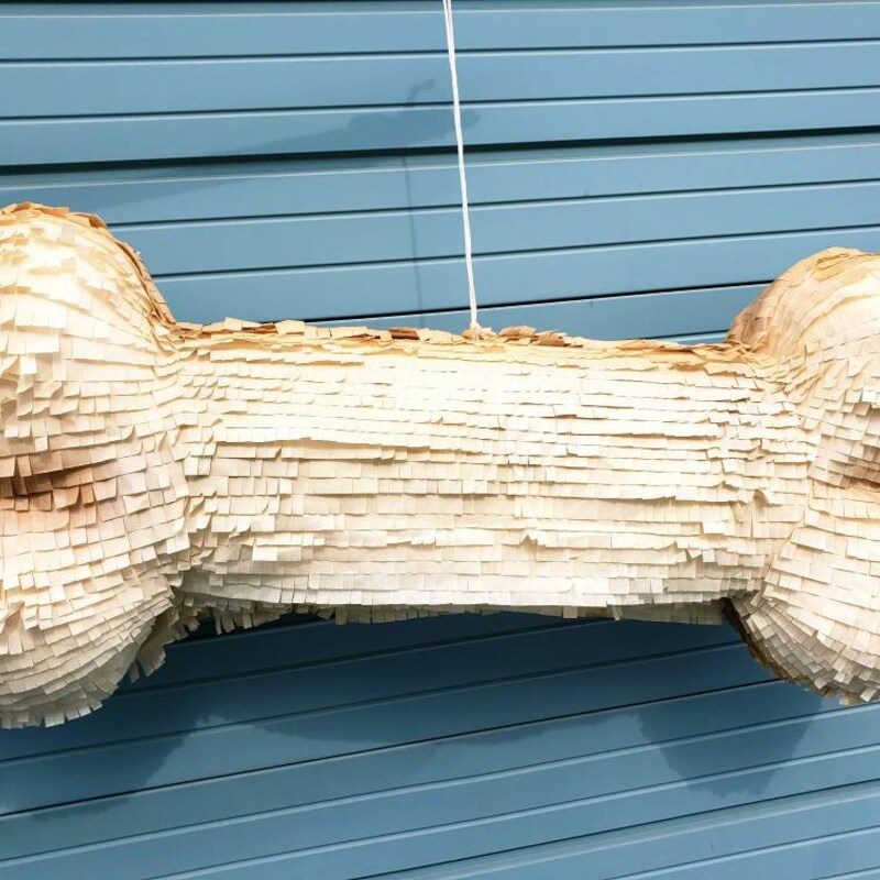 Dog Pinata - Etsy