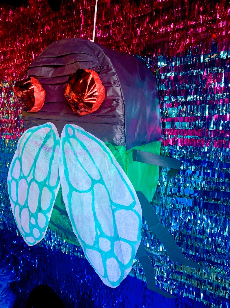 Giant Fly Bug Piñata | Etsy