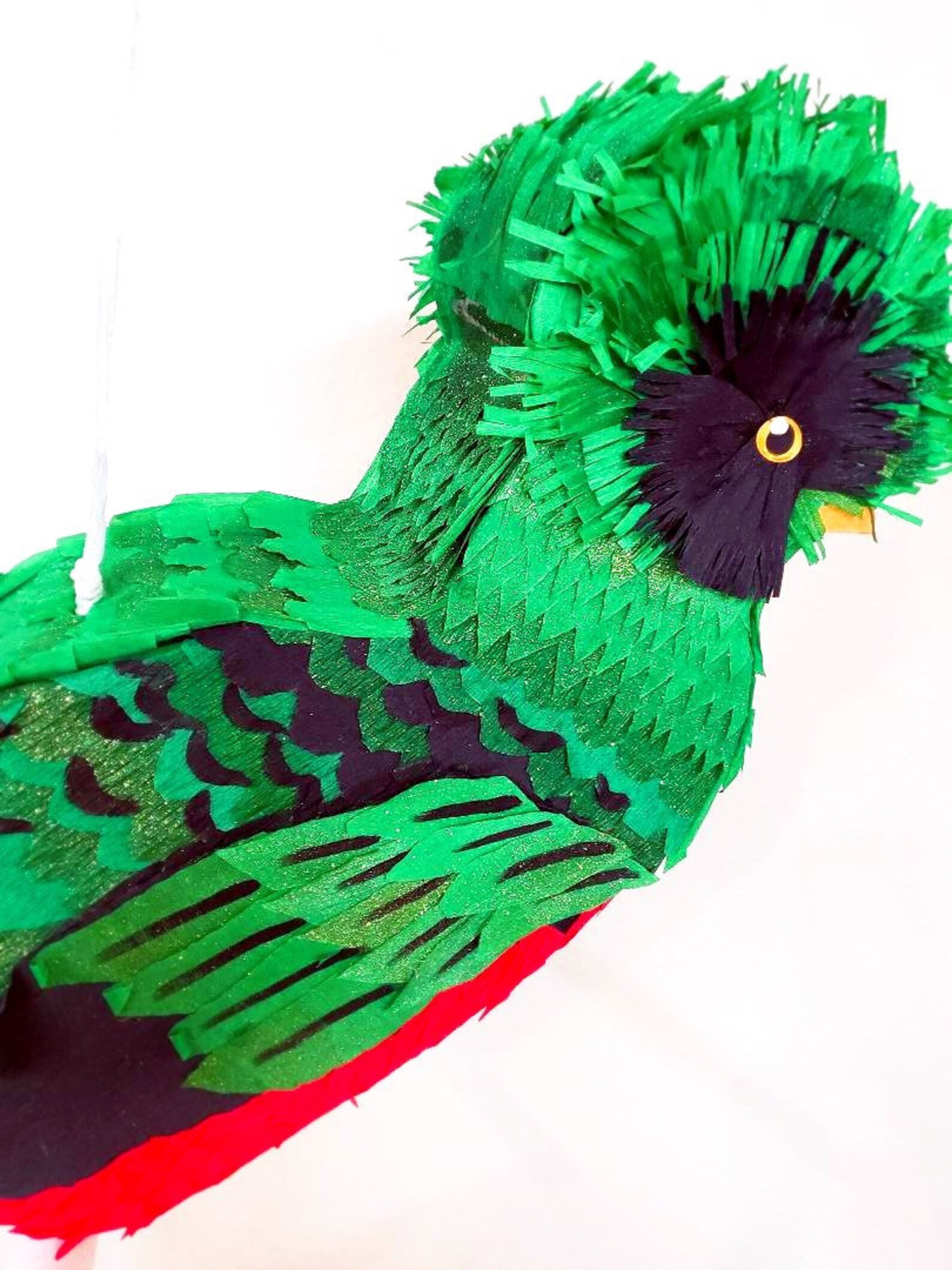 Custom Tropical Bird Piñata - Etsy