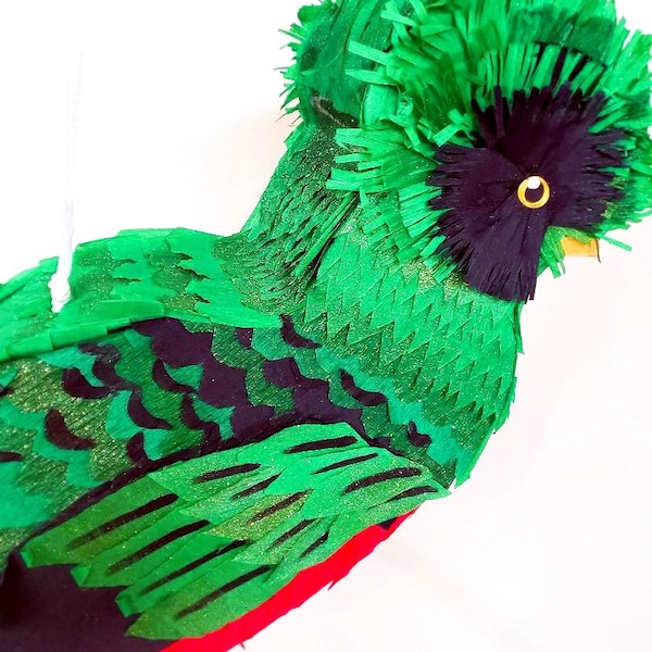 Bird Pinata - Etsy