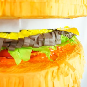 Designer Pinata | Inspired by In-n-outs Amazing Cheeseburgers | Fun ...