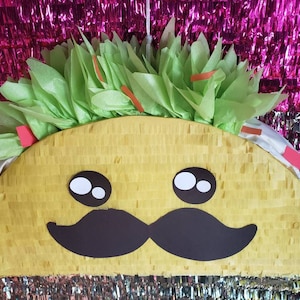 Pinata Taco | Food Pinata | Cute Photo Prop | Fun Party Game | Custom ...