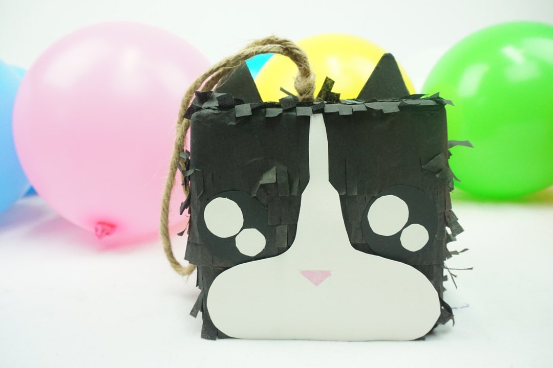 Mini Kitty Cat Pinata Treat Boxes | Set of 3, Party Favors - Etsy