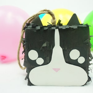 3 Mini Treat Box Kitty Cats Pinatas I Cute Party | Surprise Pinatas Set ...