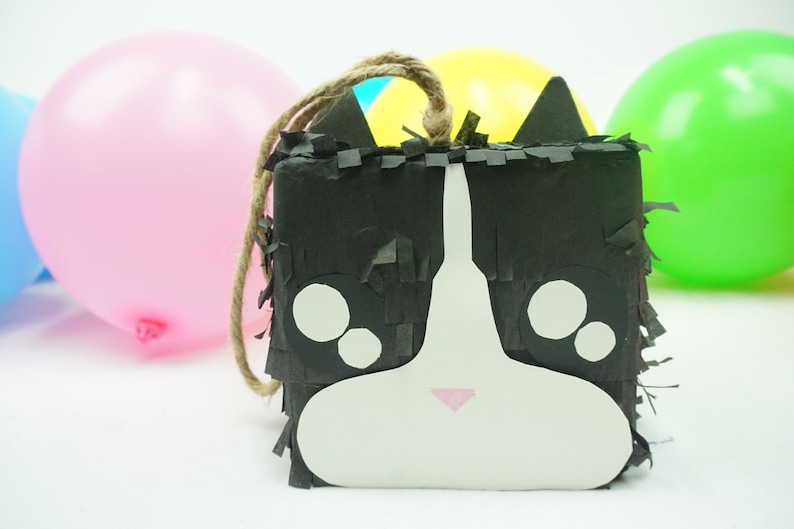 Mini Kitty Cat Pinata Treat Boxes | Set of 3, Party Favors - Etsy