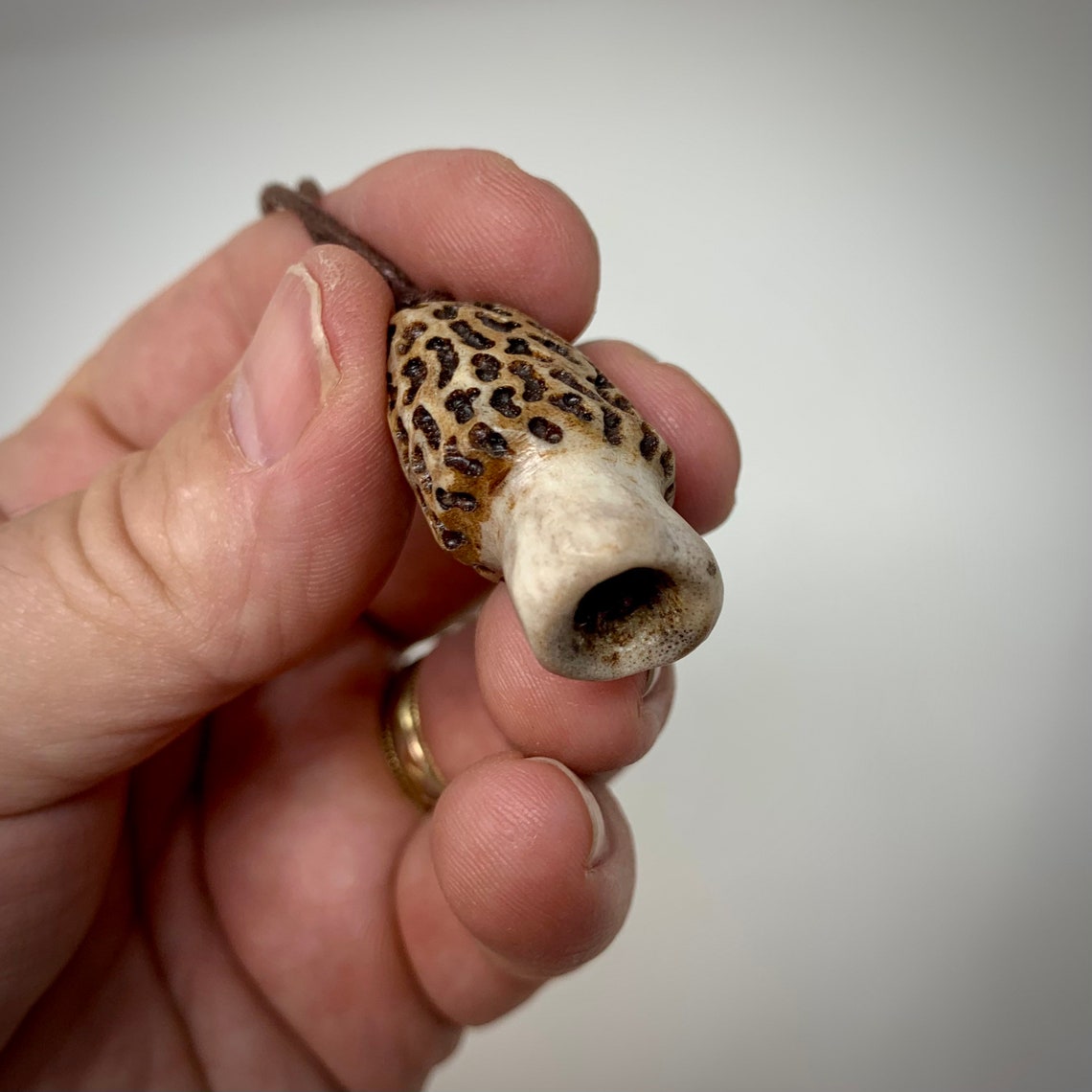 Morel Mushroom Carving Whitetail Deer Antler Necklace - Etsy