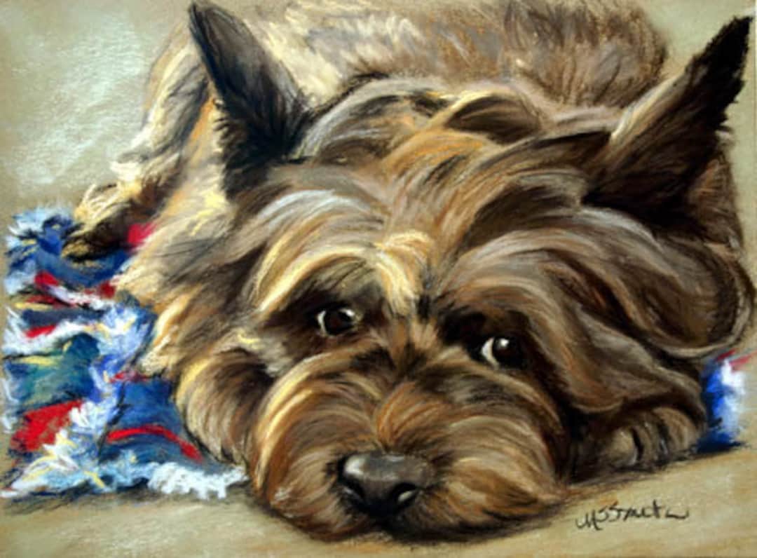 Toto Wizard Of Oz Breed