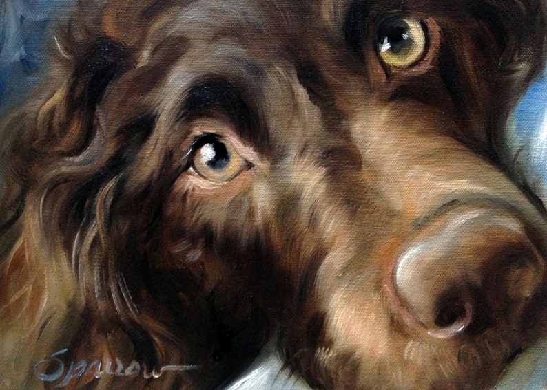 NEEDLEPOINT CANVAS PRINT Boykin Spaniel Dog Art by Mary - Etsy