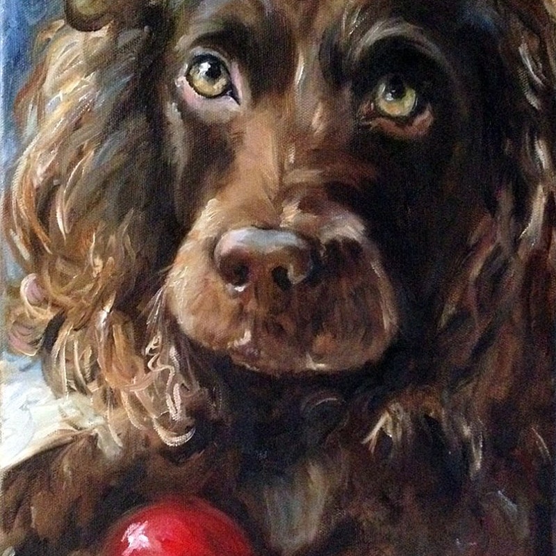 Spaniel Art - Etsy