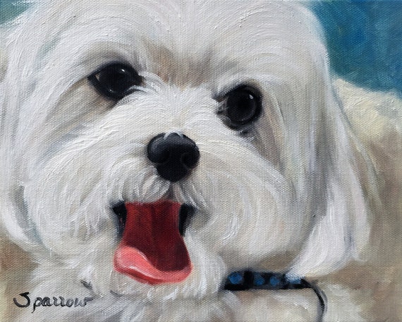 PRINT Maltese Dog Puppy Portrait Art sunny Disposition | Etsy