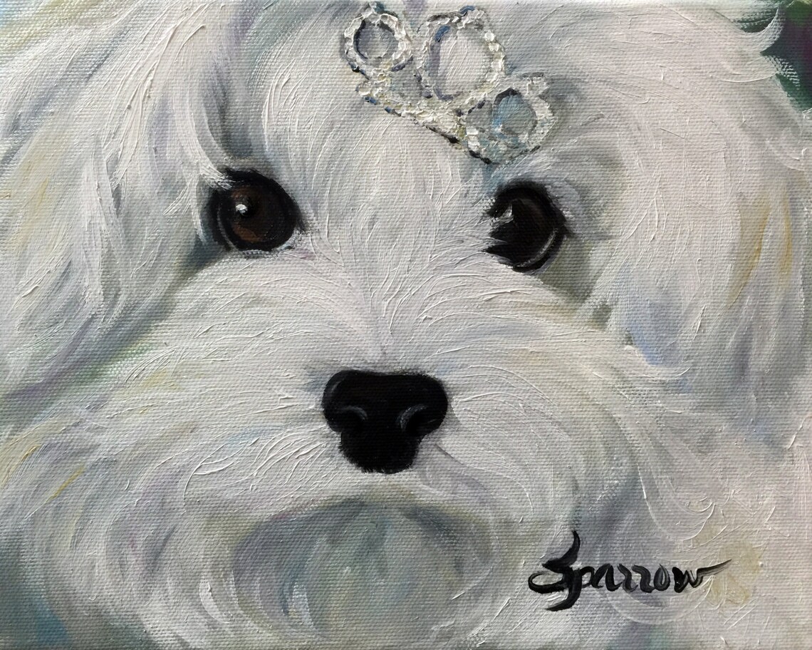 PRINT Maltipoo Maltese Puppy Dog Face Princess Portrait Art by - Etsy