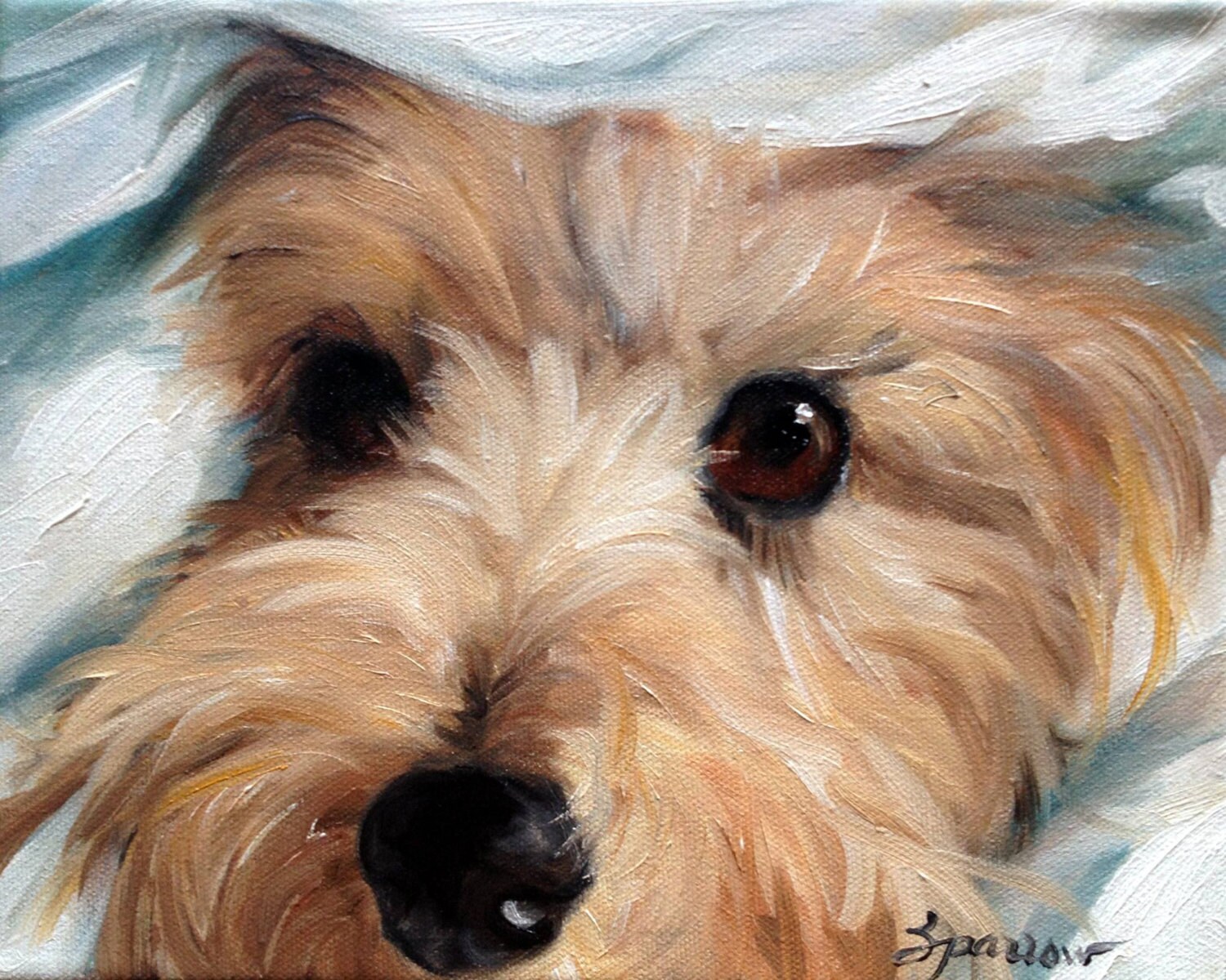 What Ever Happened To Toto Dog