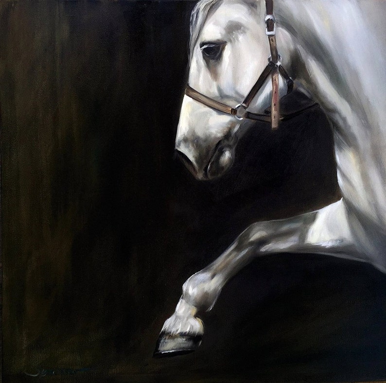 White Horse "into the Light" Equine Dressage Art CANVAS PRINT of the ...