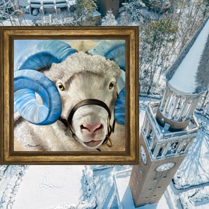 Limited PRINT of Original Painting of Rameses Ram for the Carolina ...