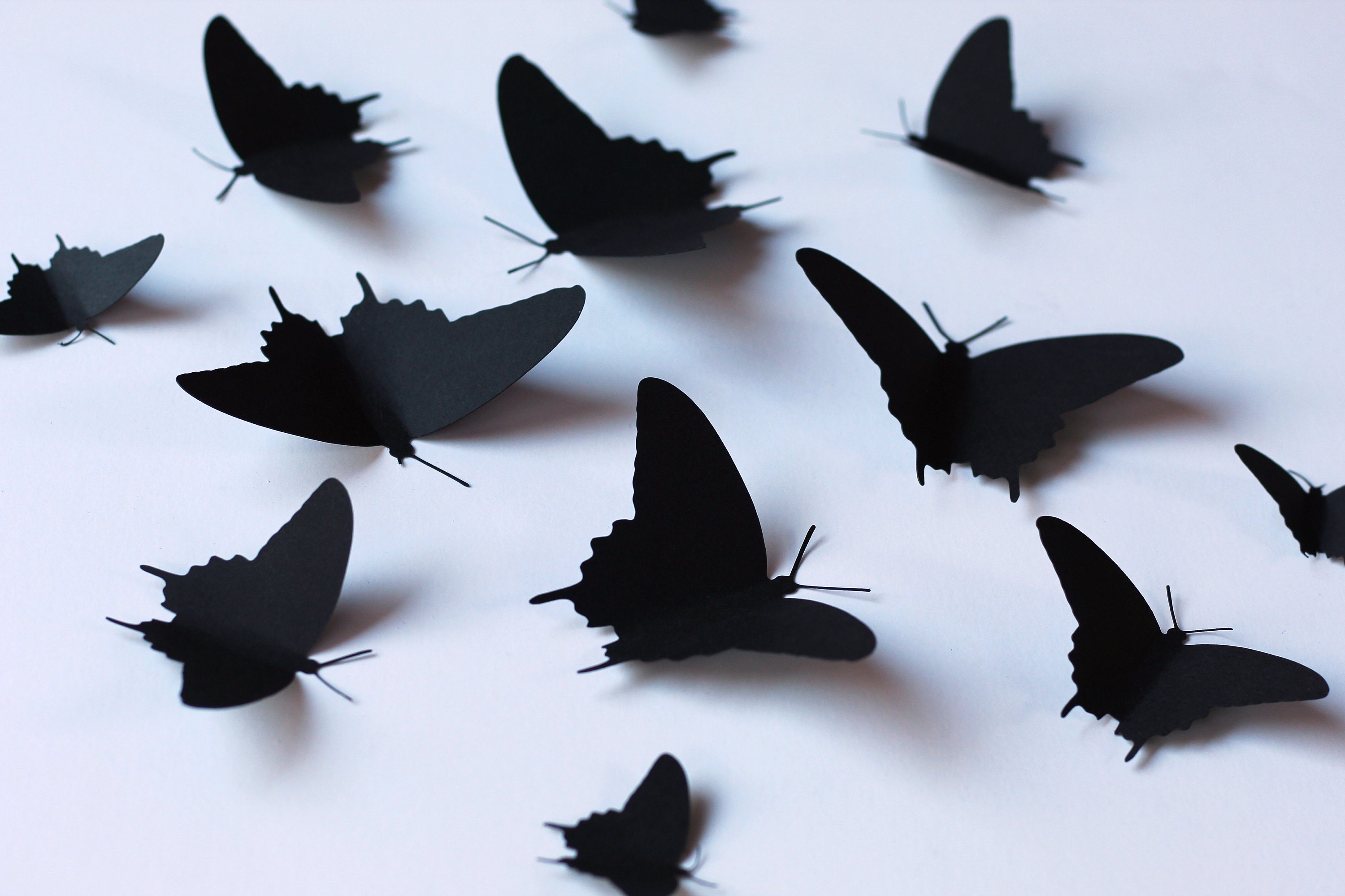 Black Swallowtail Butterfly 3D Paper Wall Art Wall Decor | Etsy