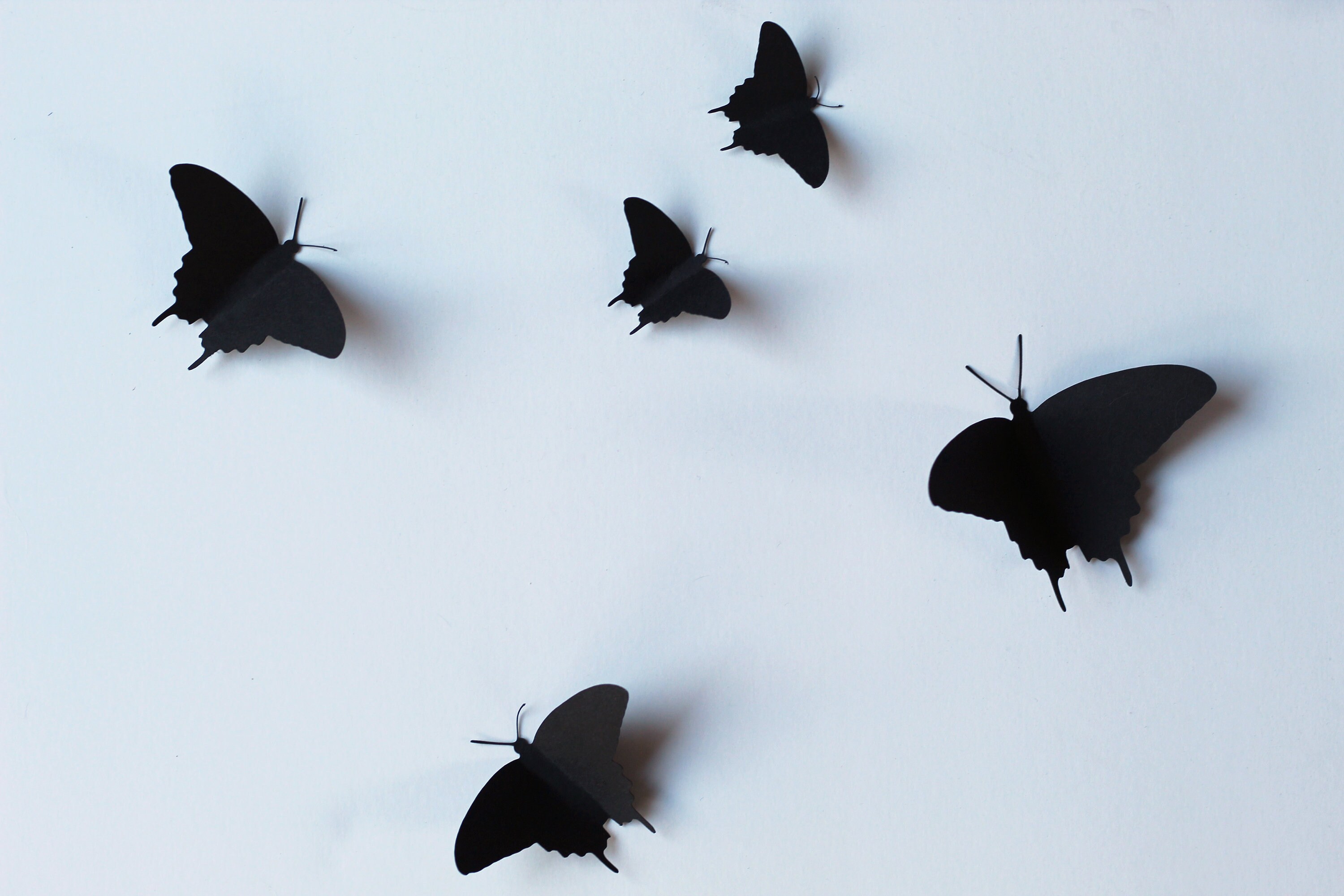 Black Swallowtail Butterfly 3D Paper Wall Art Wall Decor | Etsy