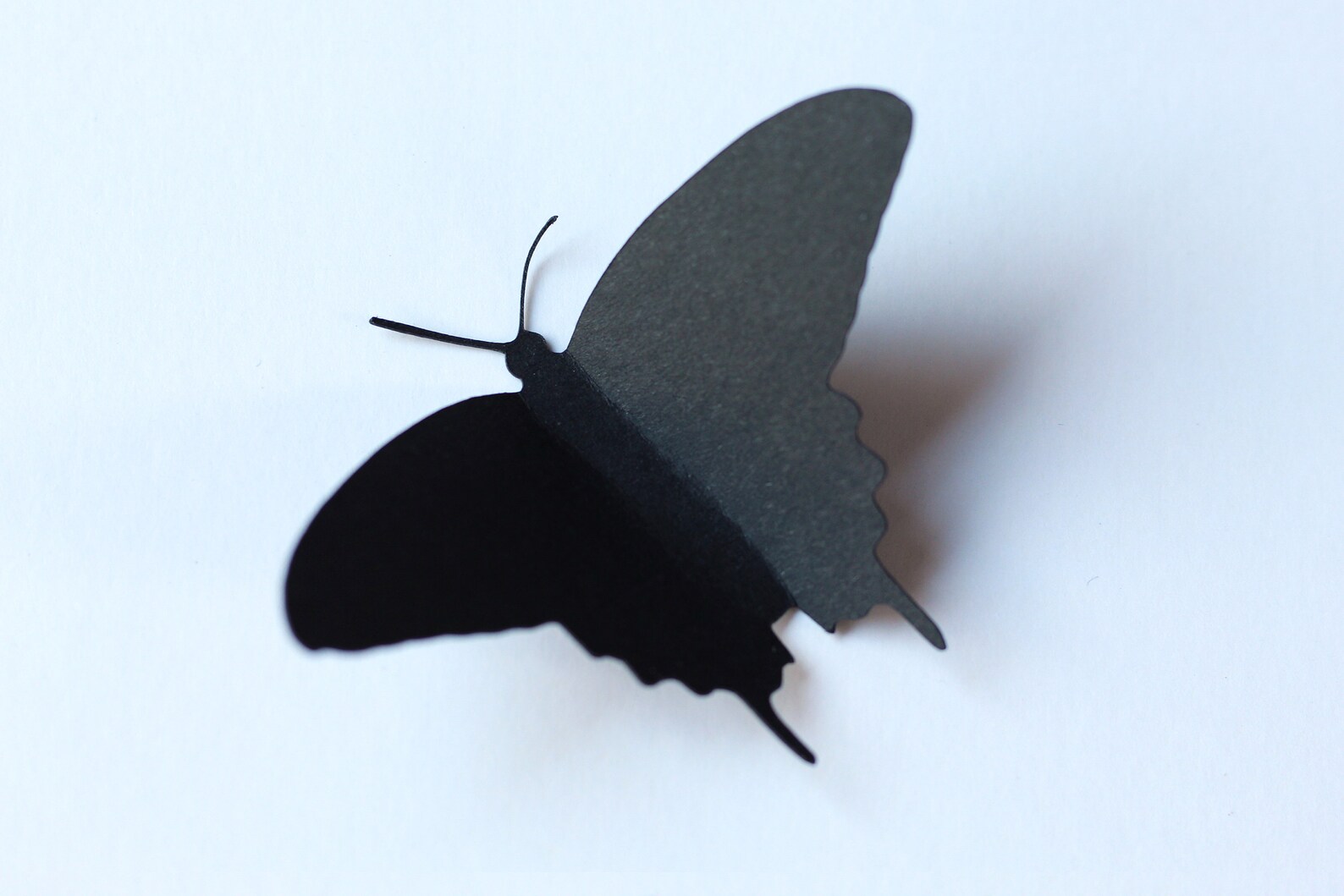 Black Swallowtail Butterfly 3D Paper Wall Art Wall Decor | Etsy