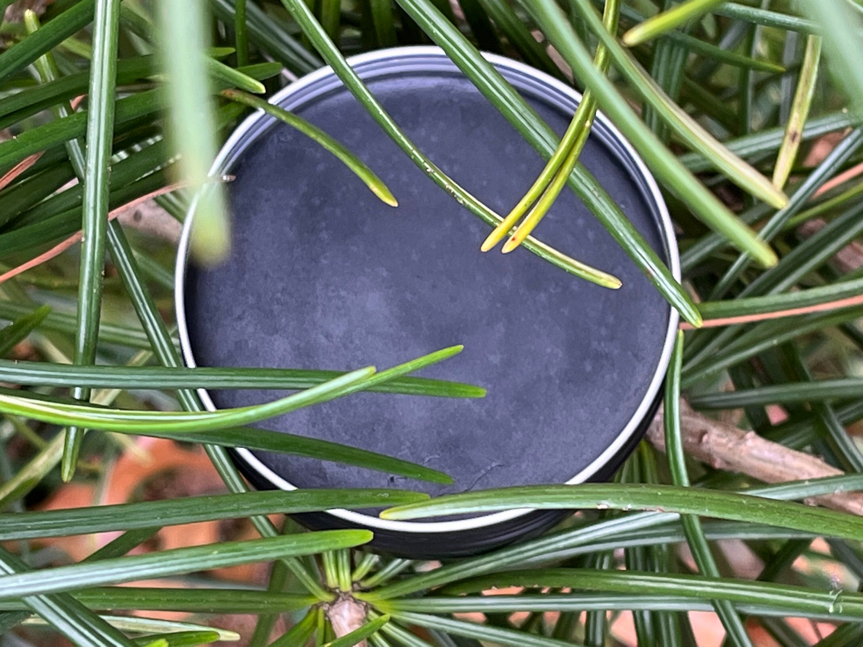 Pine Tar Drawing Salve - Etsy