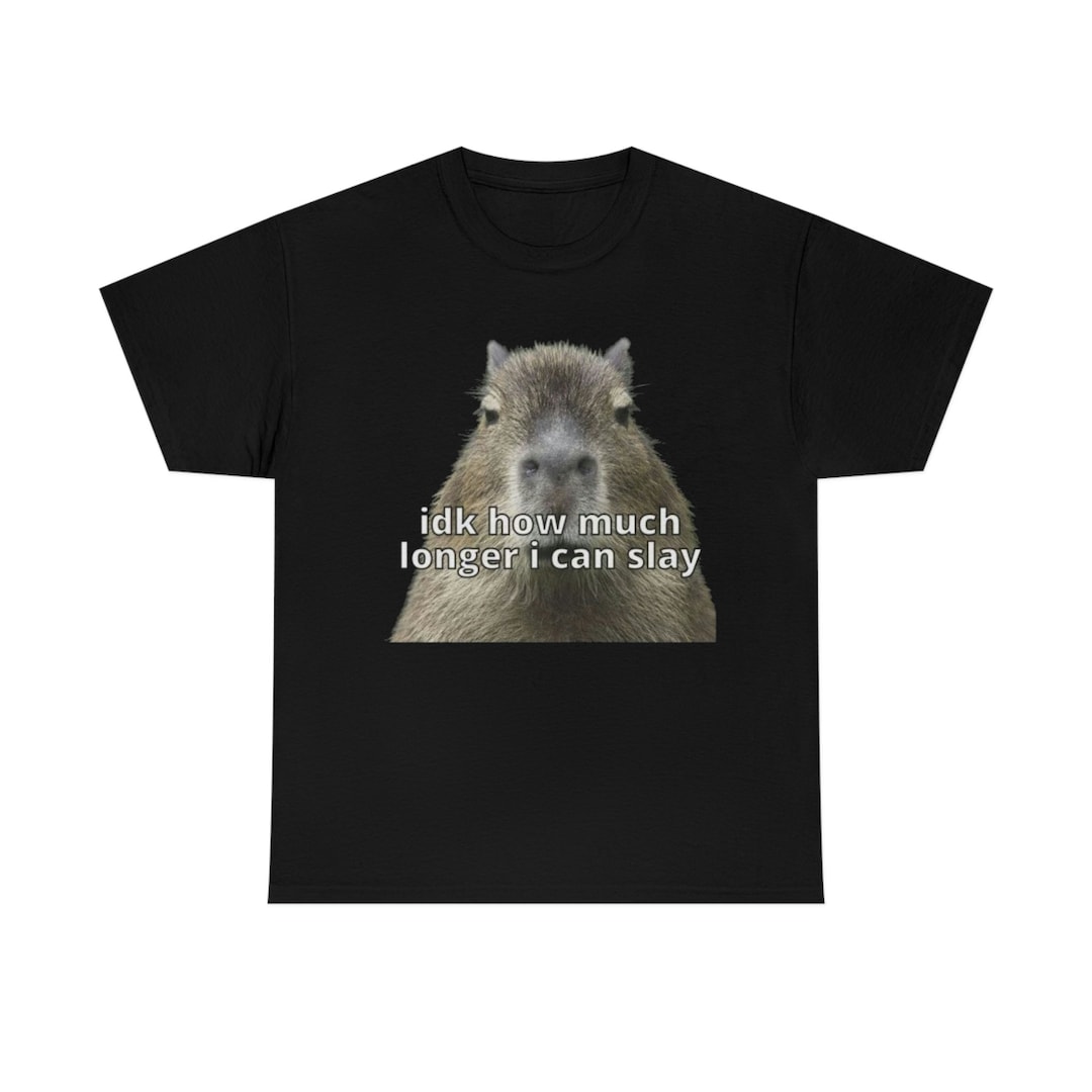 Idk How Much Longer I Can Slay Capybara Sarcastic Dank Meme - Etsy