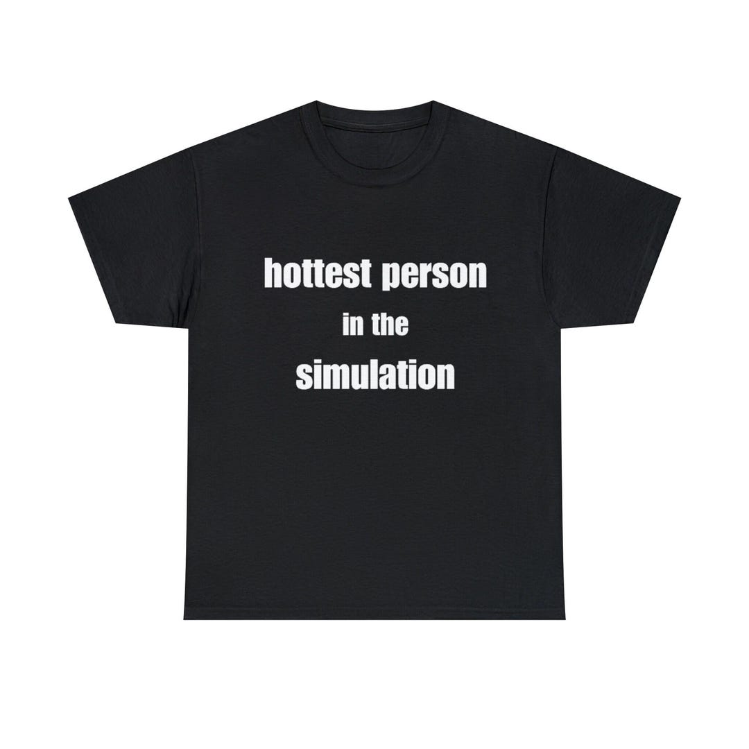 Hottest Person in the Simulation Shirt – Funny Edgy Meme Tee, Graphic ...